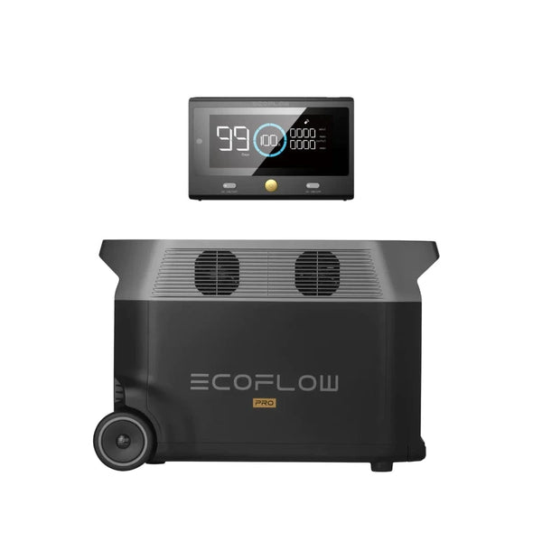 EcoFlow DELTA Pro Power Station with Free Remote Control – AllProGenerators
